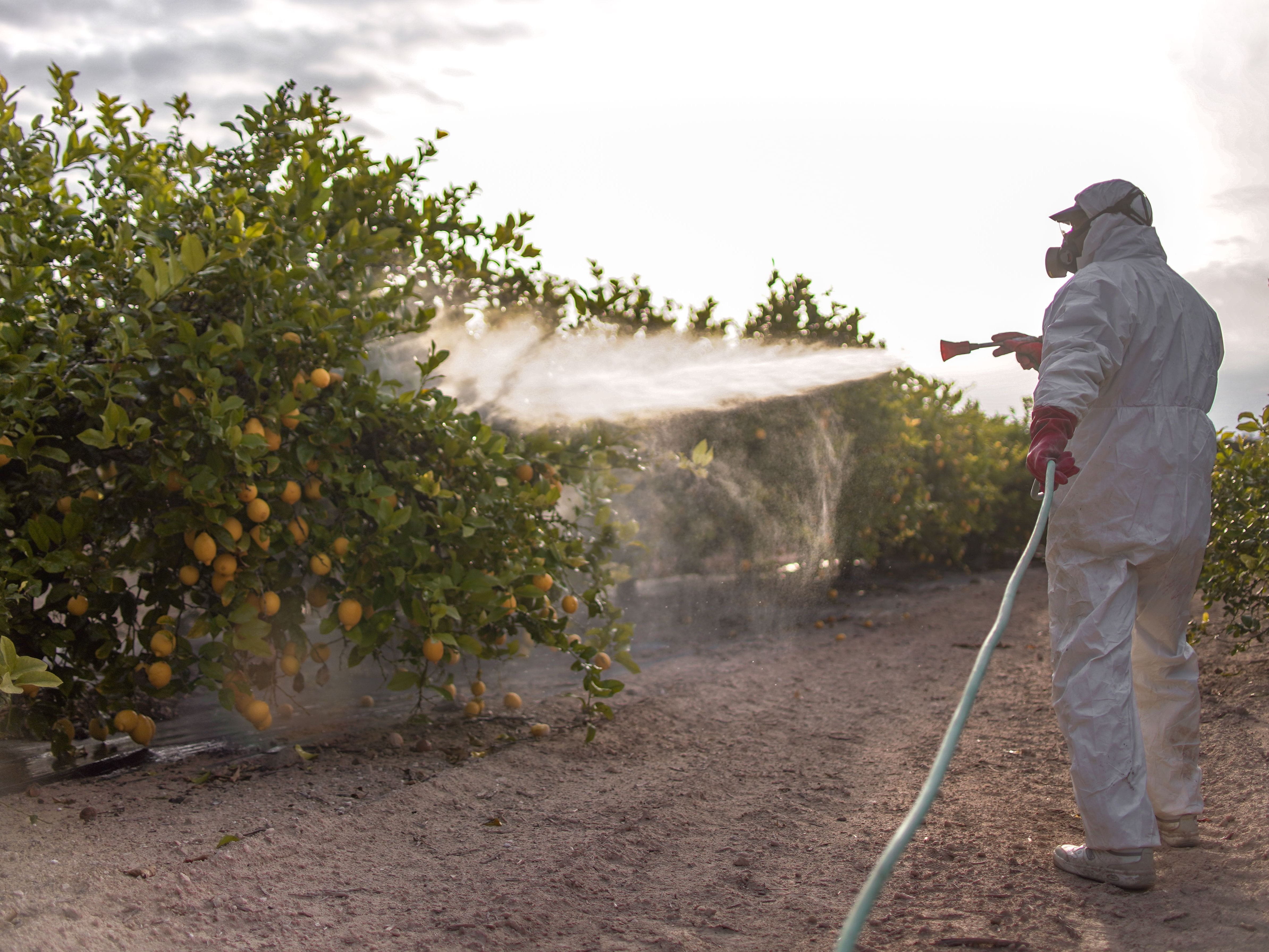Bug off: Getting the facts on insecticides | Poison Control